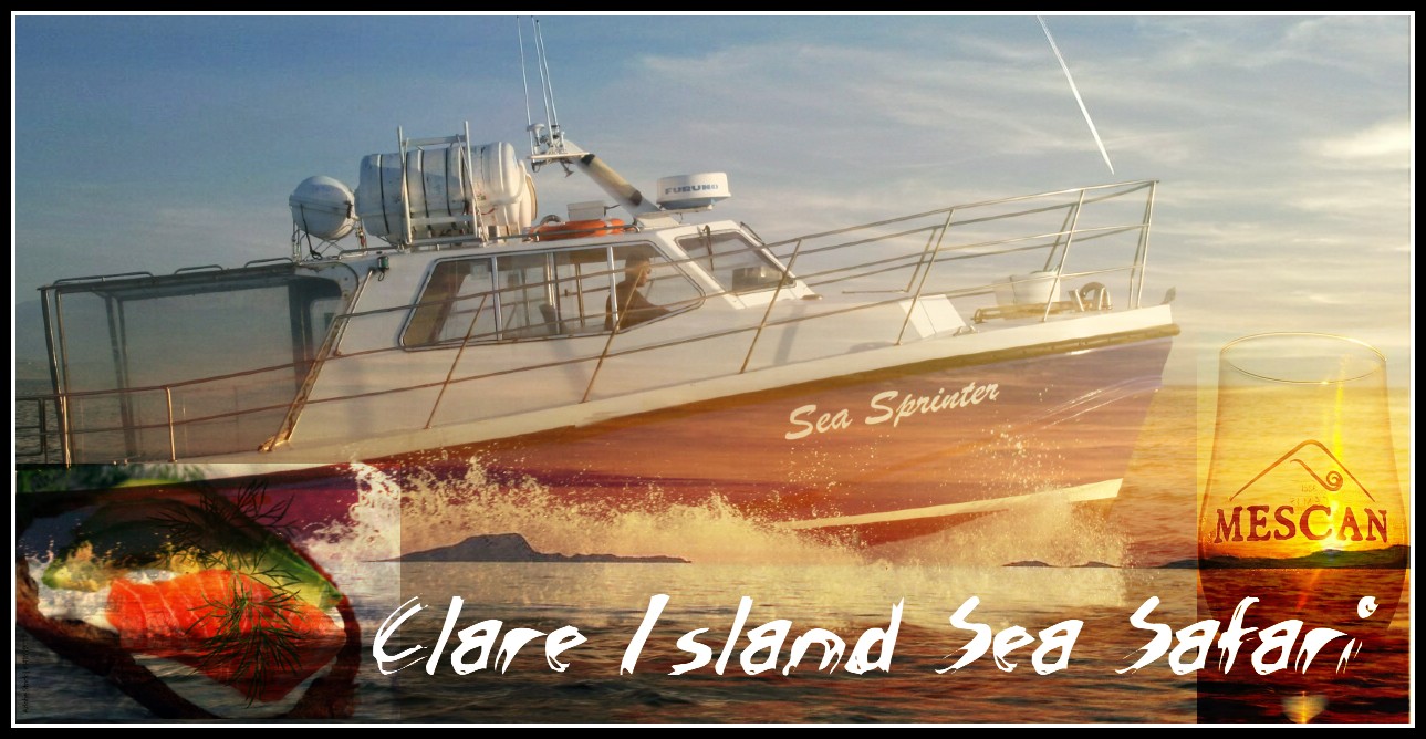 Sea Safari | Clare Island Ferry